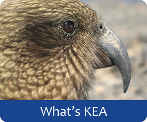 kea | KEA management